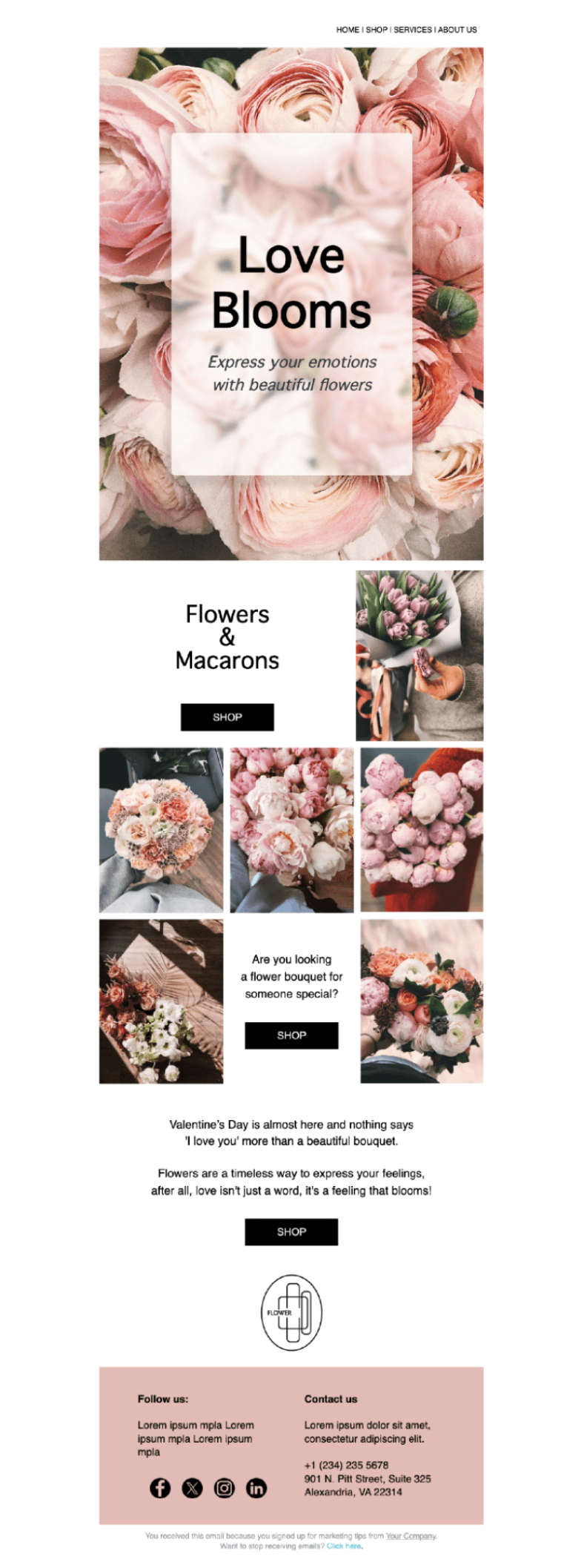 25+ Best Valentine's Day Email Templates For 2024