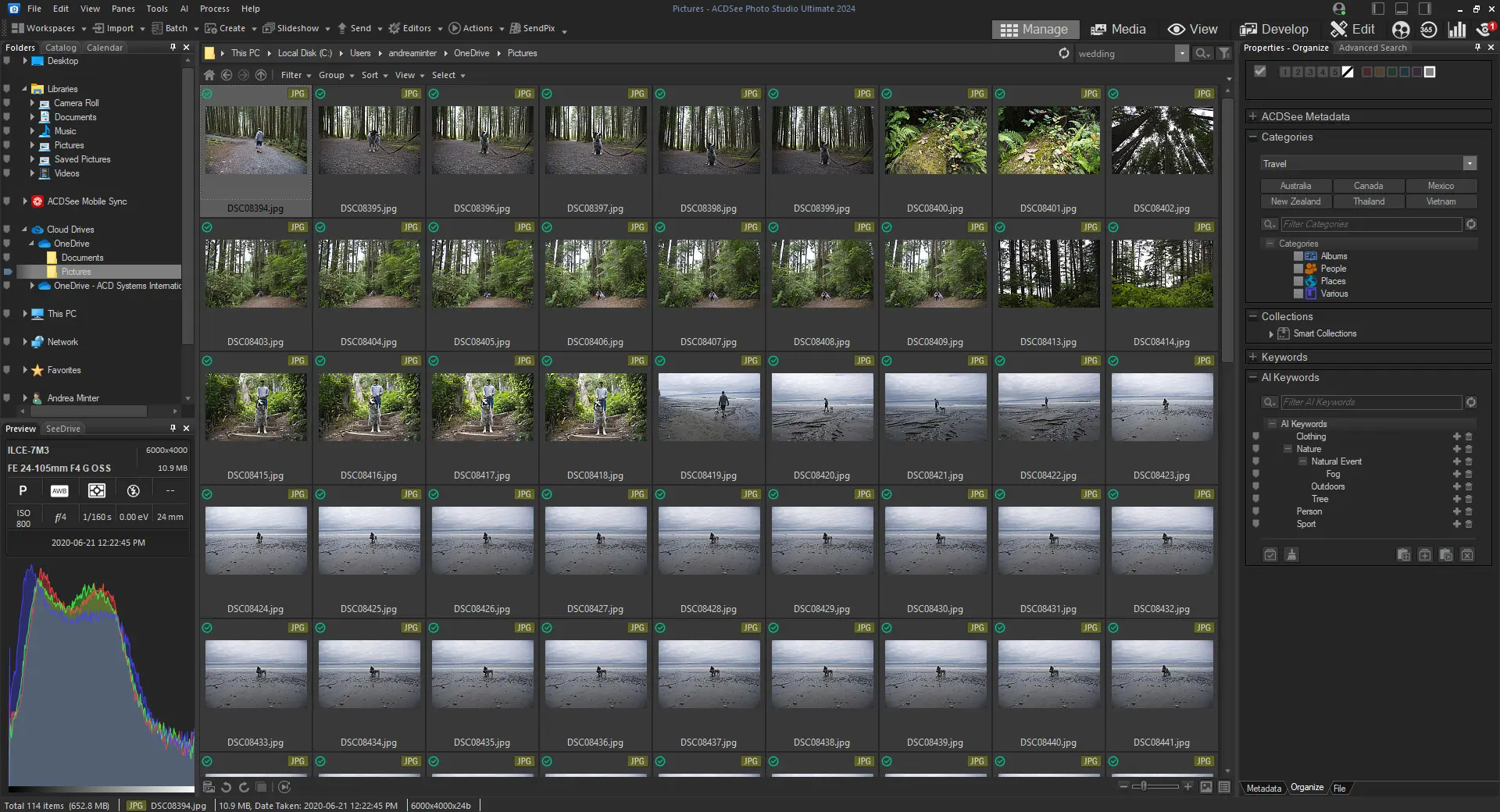 15 Best Photo Organizing Software For Windows & Mac (2024)